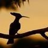 Htaccess : cache control et expire headers